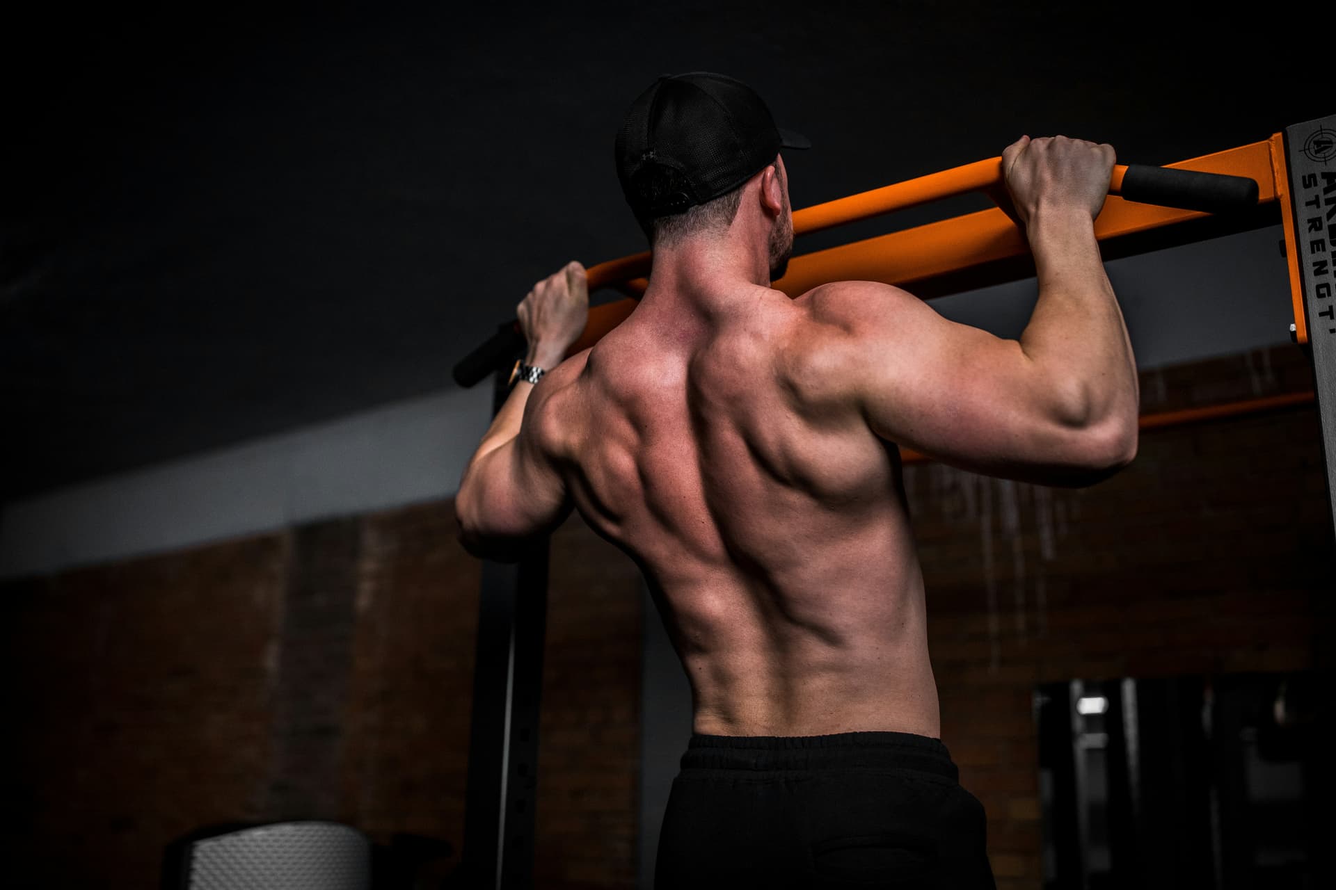 The Perfect Overhead Press: A Science-Based Guide to Form, Variations ...